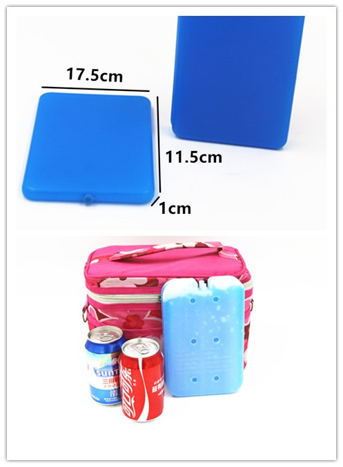 Environment Friendly Insulated Thermal Cooler Ice Packs Frozen Gel Packs