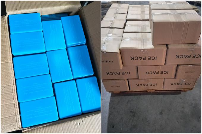 MSDS Approved Reusable Blue Ice Cooler Packs Gel Freezer Pack Non Toxic