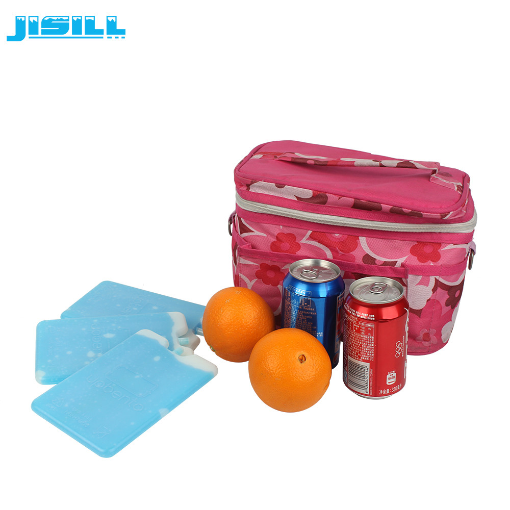 Custom Hard Plastic Gel Ice Eutectic Cold Plates Cooler Ice Bricks For ...