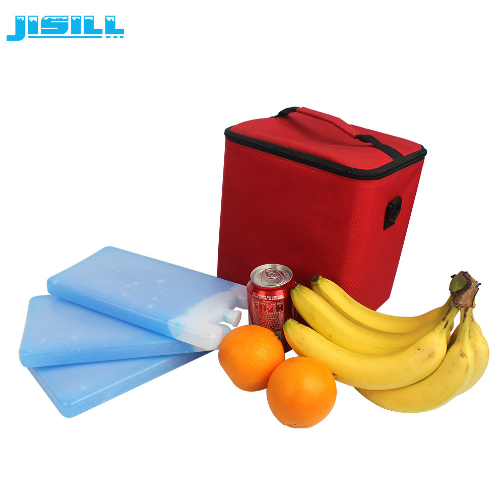HDPE 750g Gel Filled Ice Packs Blue Color With Adjustable PCM Gel Liquid